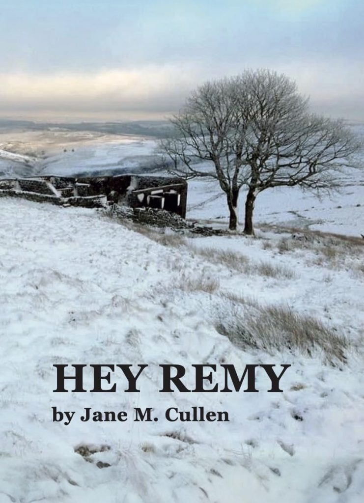 Hey Remy. by Jane Cullen. A review – T A Belshaw Author